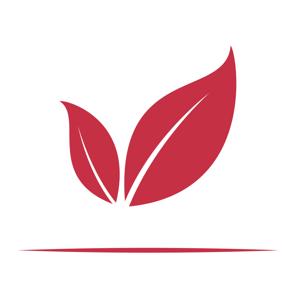 Wholesale Italian Ice Cream | Argelato Europe GmbH